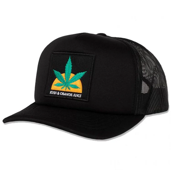 Diamond Supply Co x Taylor Gang Kush Logo Cap (Black) – Legacy Skate Store